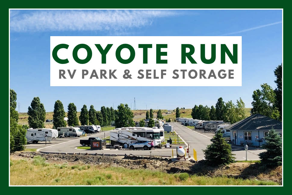 CONNELL WASHINGTON | News · Business · Guide